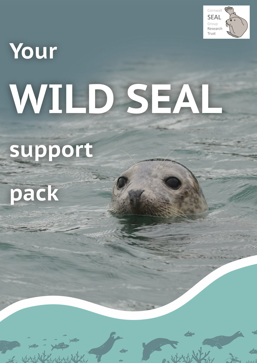Adoption and Wild Seal Supporter Pack – Seal Research Trust