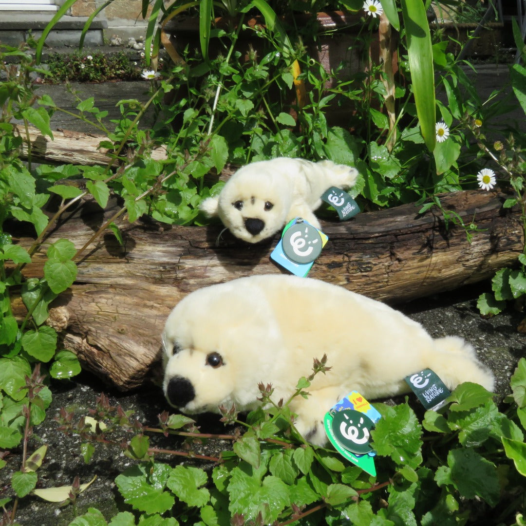 Cute fluffy seal toy – Seal Research Trust