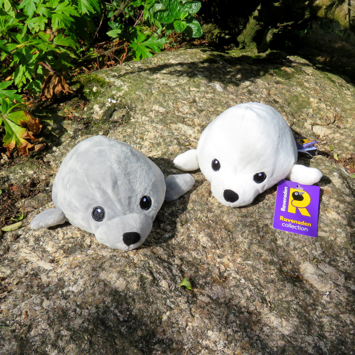 Toy - Transformer Seal – Seal Research Trust