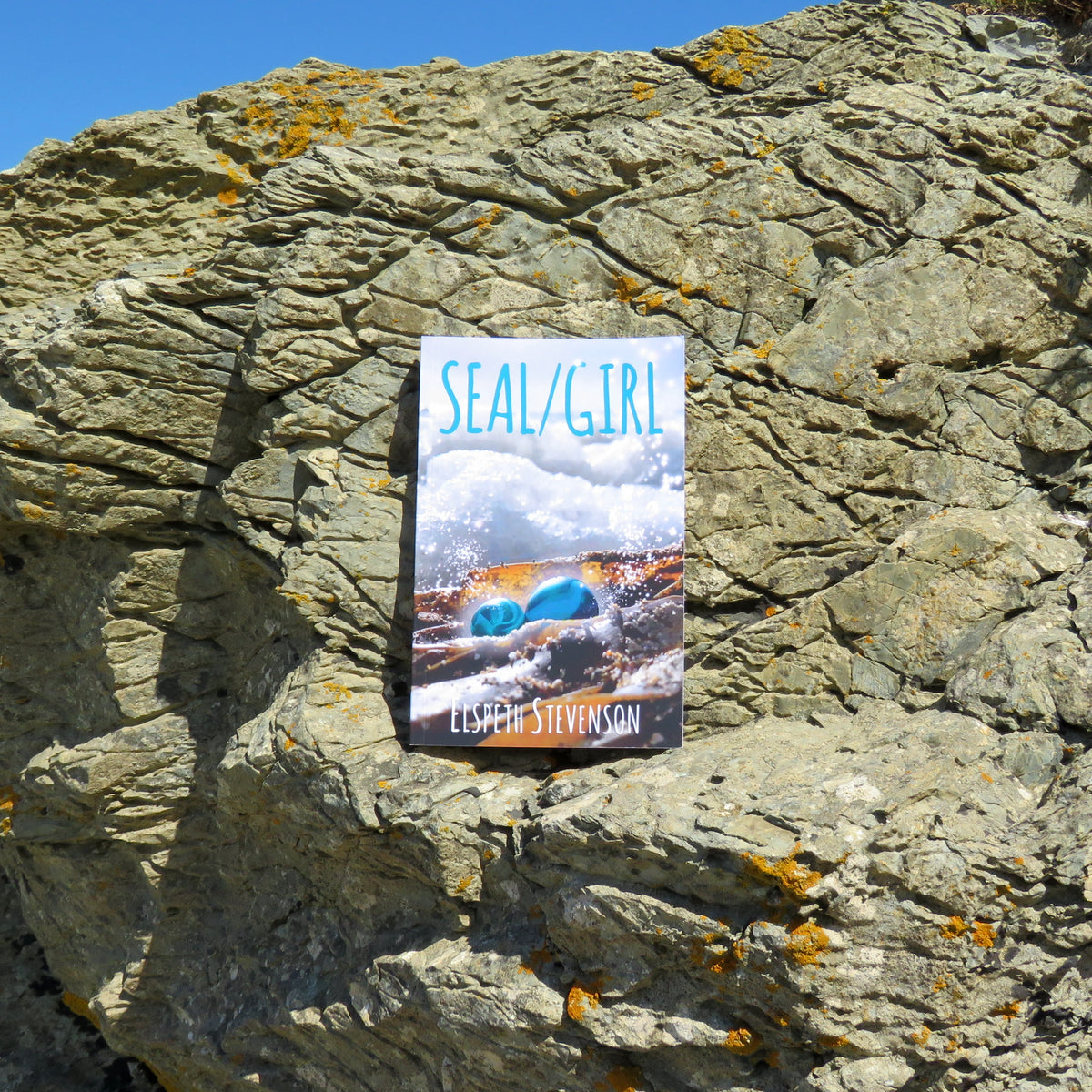 Book - Seal/Girl – Seal Research Trust