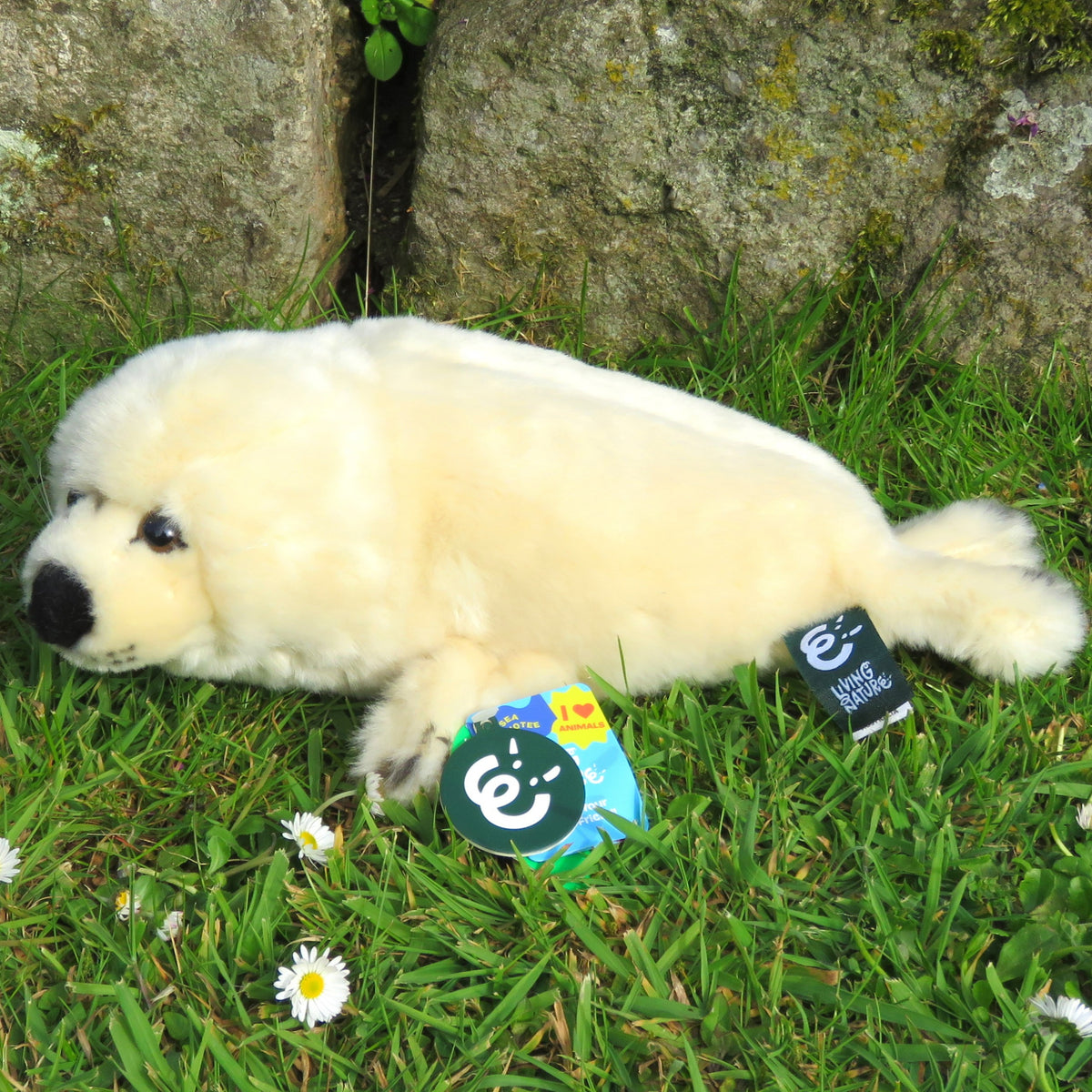Cute fluffy seal toy – Seal Research Trust